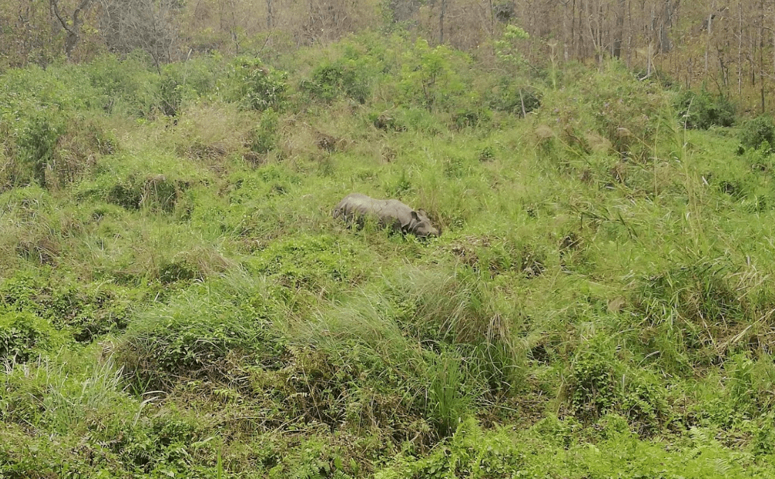 Parsa Wildlife Reserve - Nepal Travel Guide