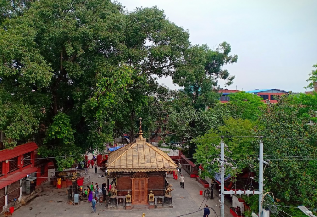 Maitidevi Temple - Nepal Travel Guide