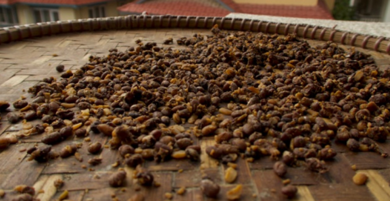 Kinema: Food of Kirati - Nepal Travel Guide